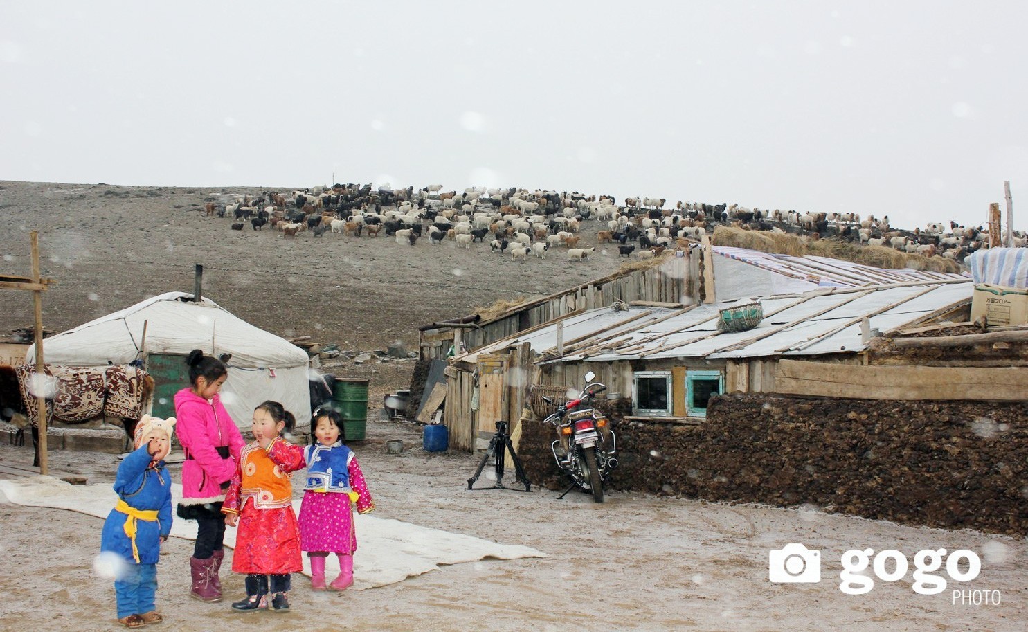 Things you should note about Tsagaan sar